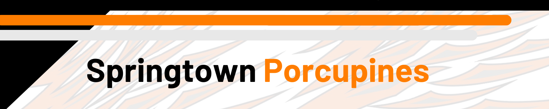 Checkout | Springtown ISD